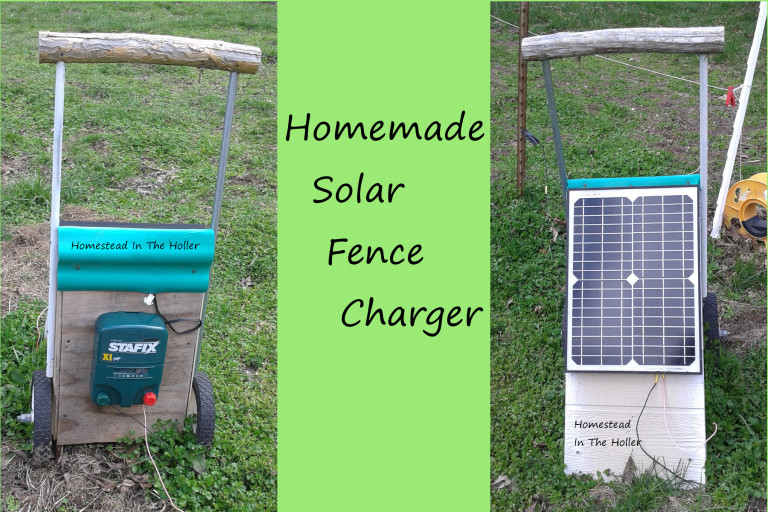 Getting started without permanent fencing - Homestead In The Holler