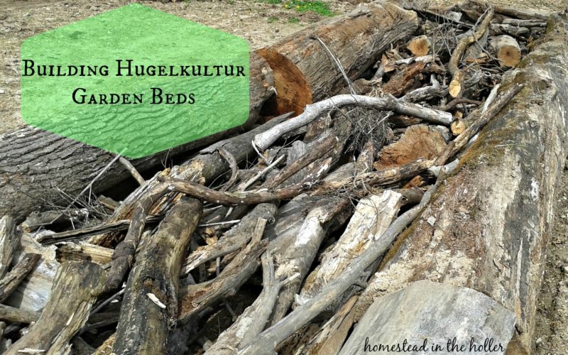 Hugelkultur Garden Beds - Homestead In The Holler