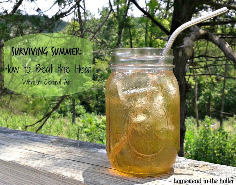 Surviving Summer - Homestead In The Holler