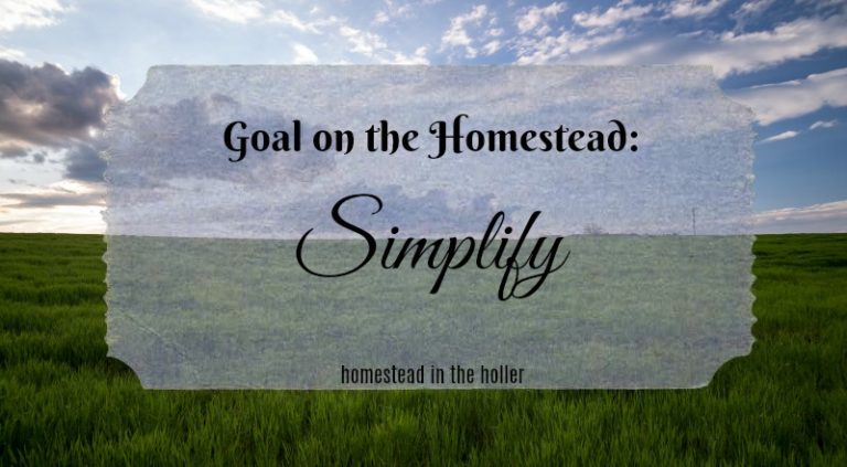 Homestead Goal: Simplify - Homestead In The Holler