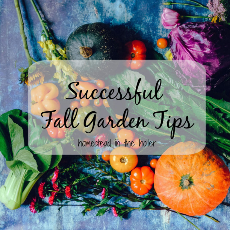 Fall Garden Tips - Homestead In The Holler