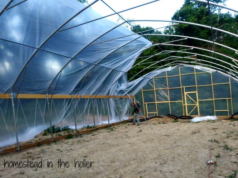 NRCS High Tunnel - Homestead In The Holler