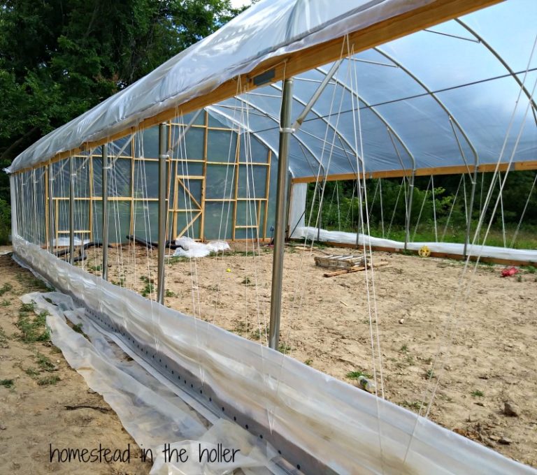 NRCS High Tunnel - Homestead In The Holler