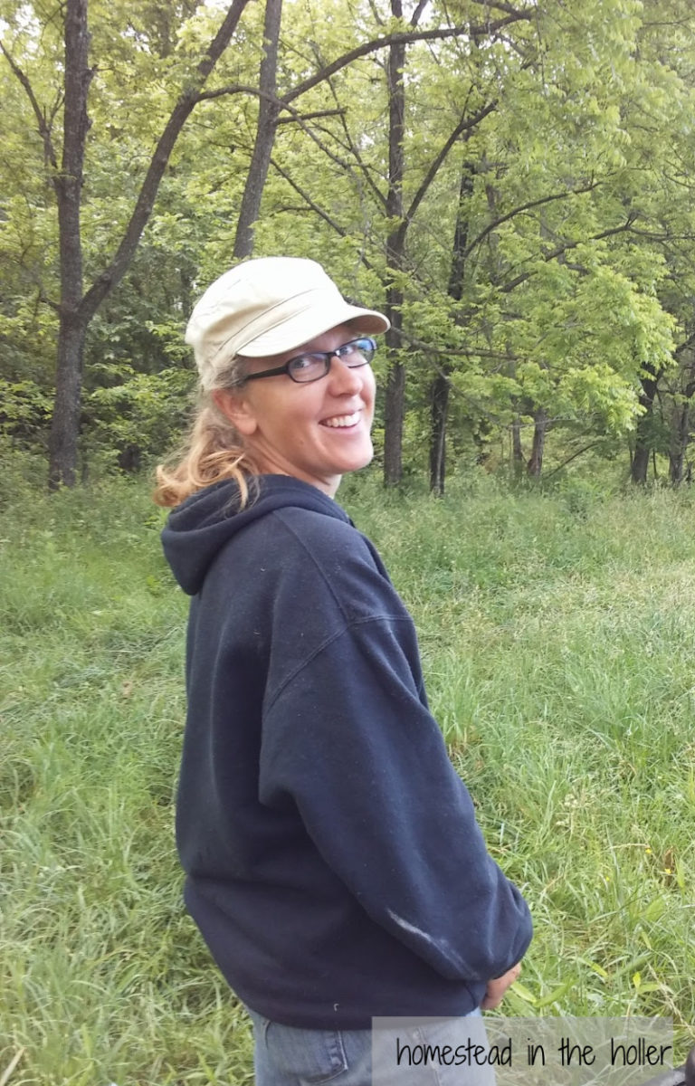 About - Homestead In The Holler